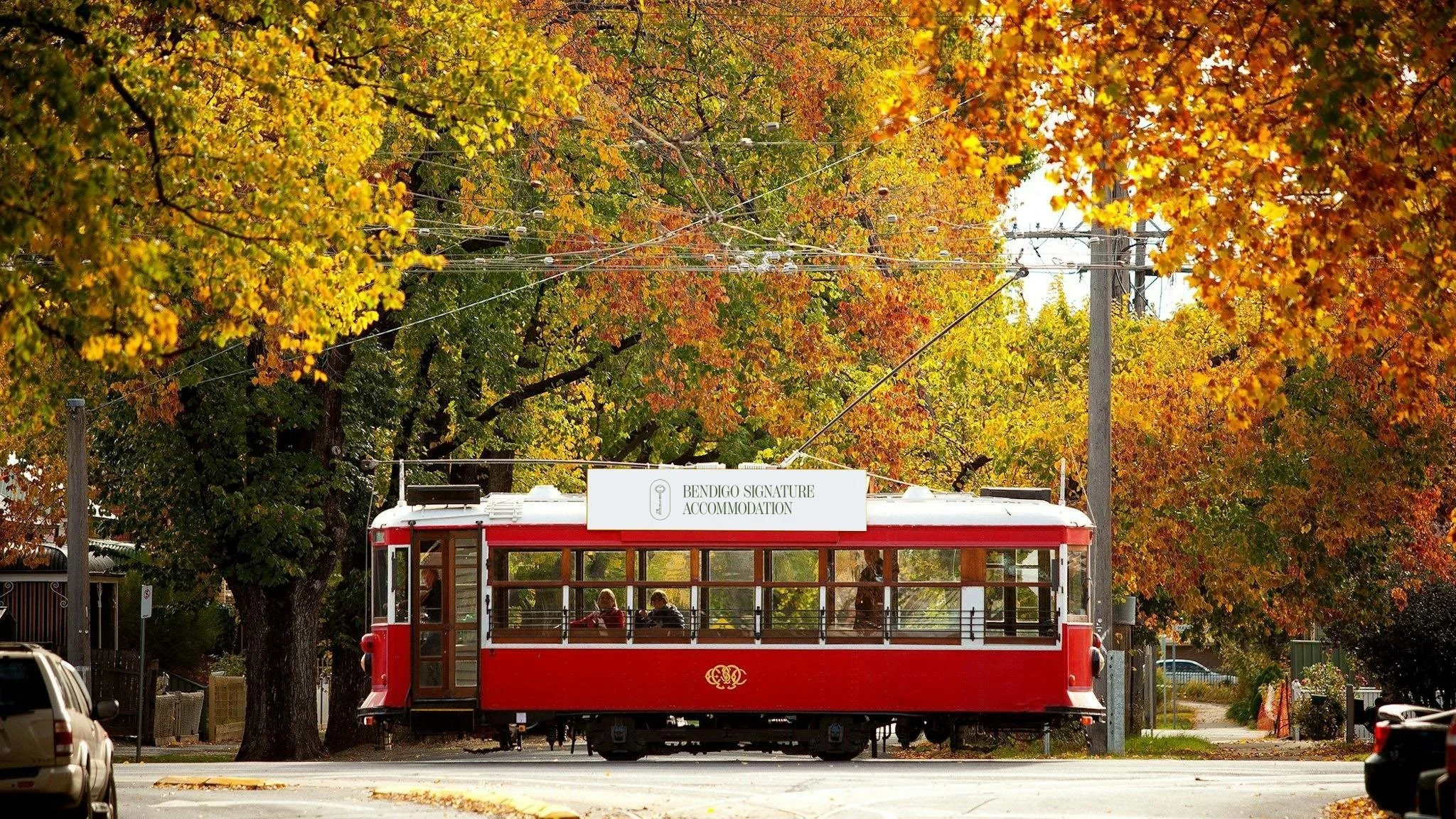 Top Family-Friendly Activities in Bendigo (Updated 2025) — Bendigo ...