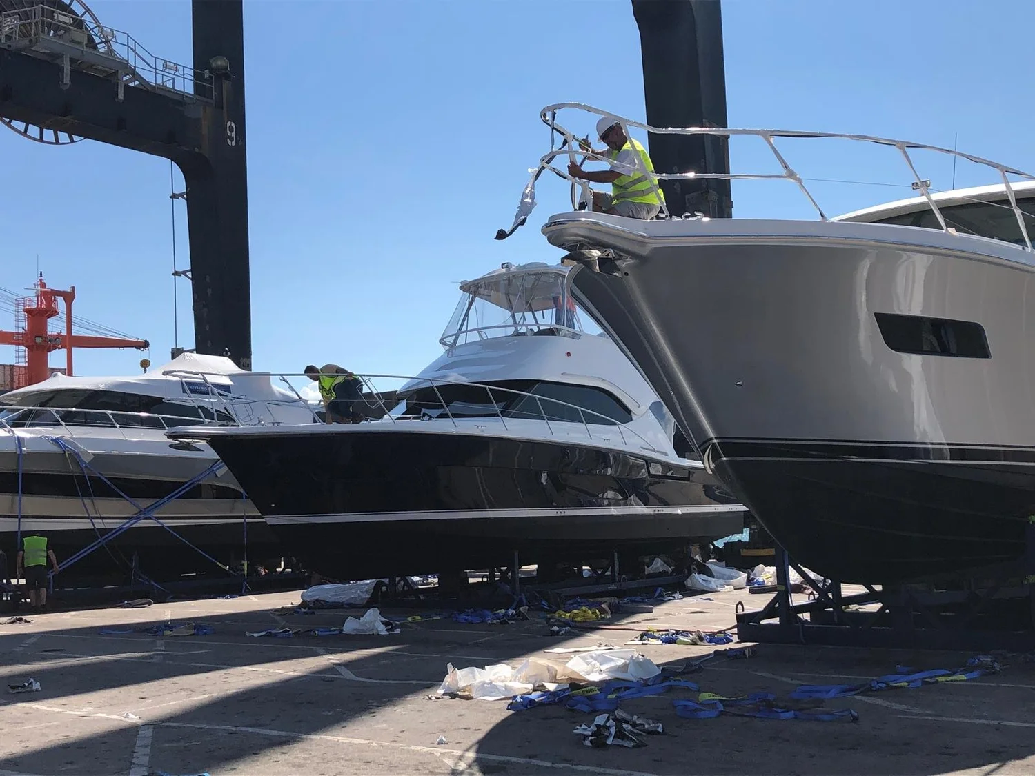 ROYAL SHIPPING LINES