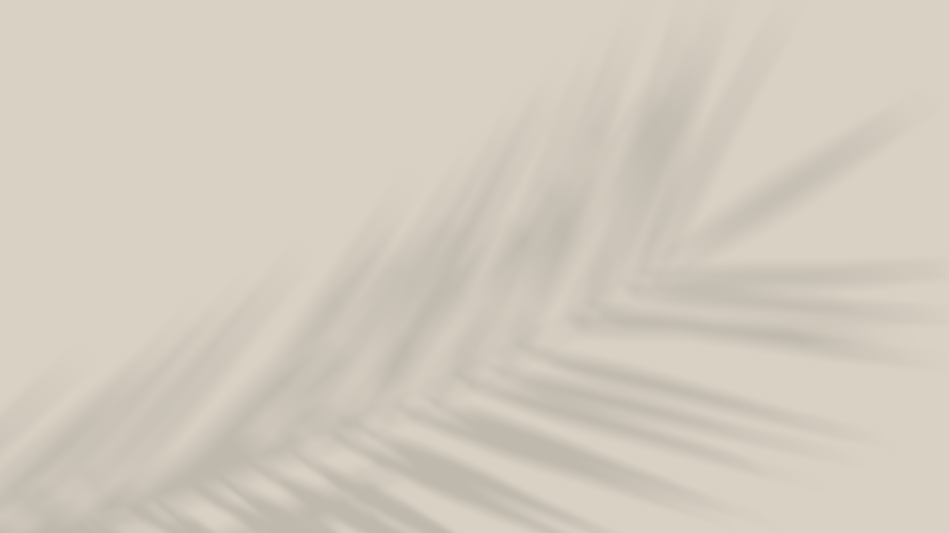 Pilates Classes, Privates, & Therapy Services | Miami