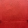 Red Reader — Read Your Color