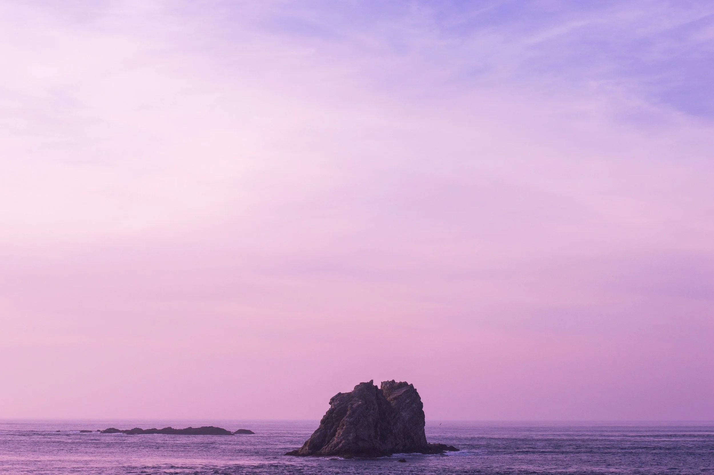 Purple Reader — Read Your Color