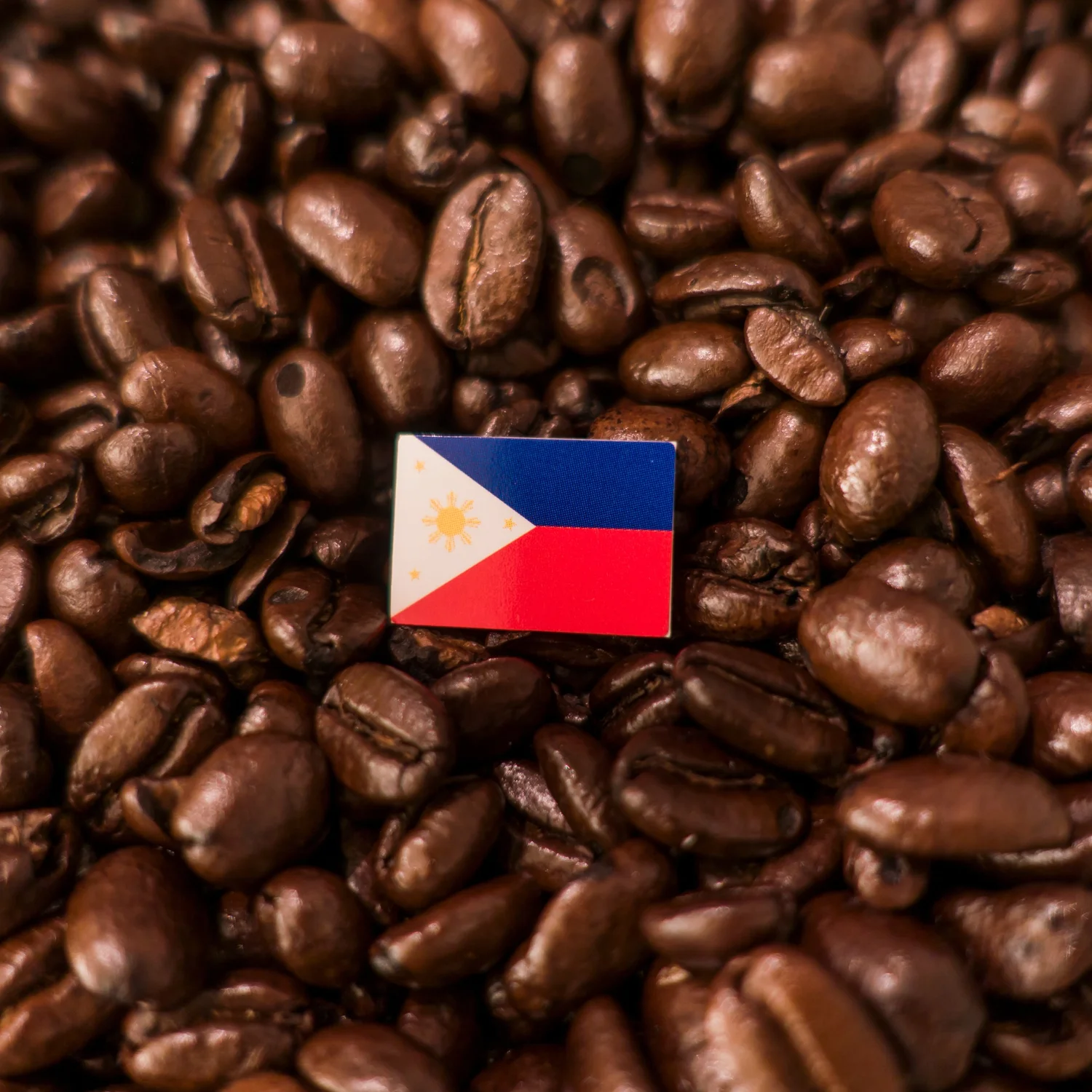 Philippine Coffee | Explore Philippine Coffee Today — Boondocks Coffee ...