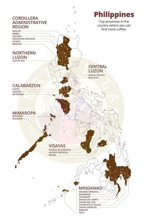 Philippine Coffee | Explore Philippine Coffee Today — Boondocks Coffee ...