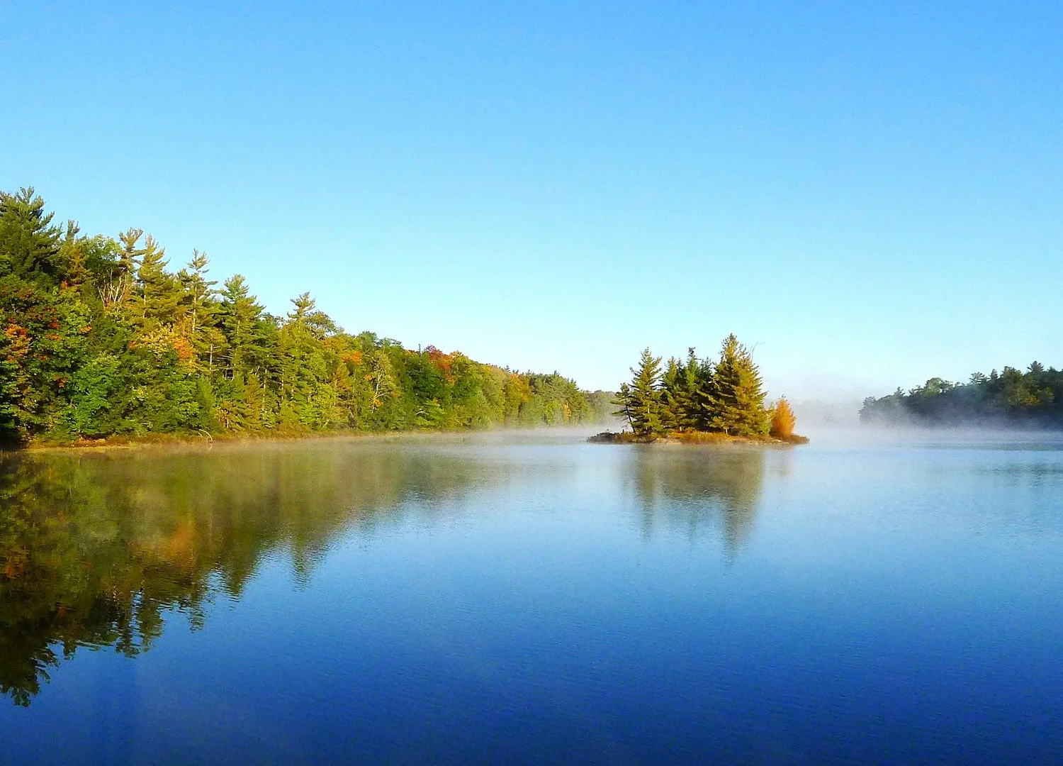 Introducing the Payne-Meinig Nature Reserve — Georgian Bay Land Trust