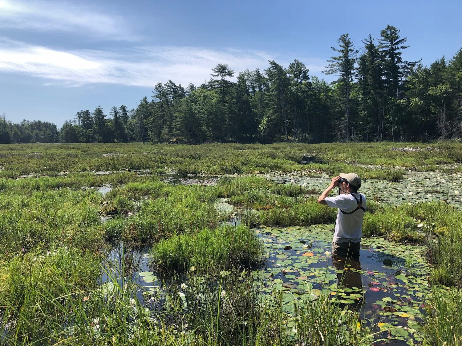 Georgian Bay Land Trust