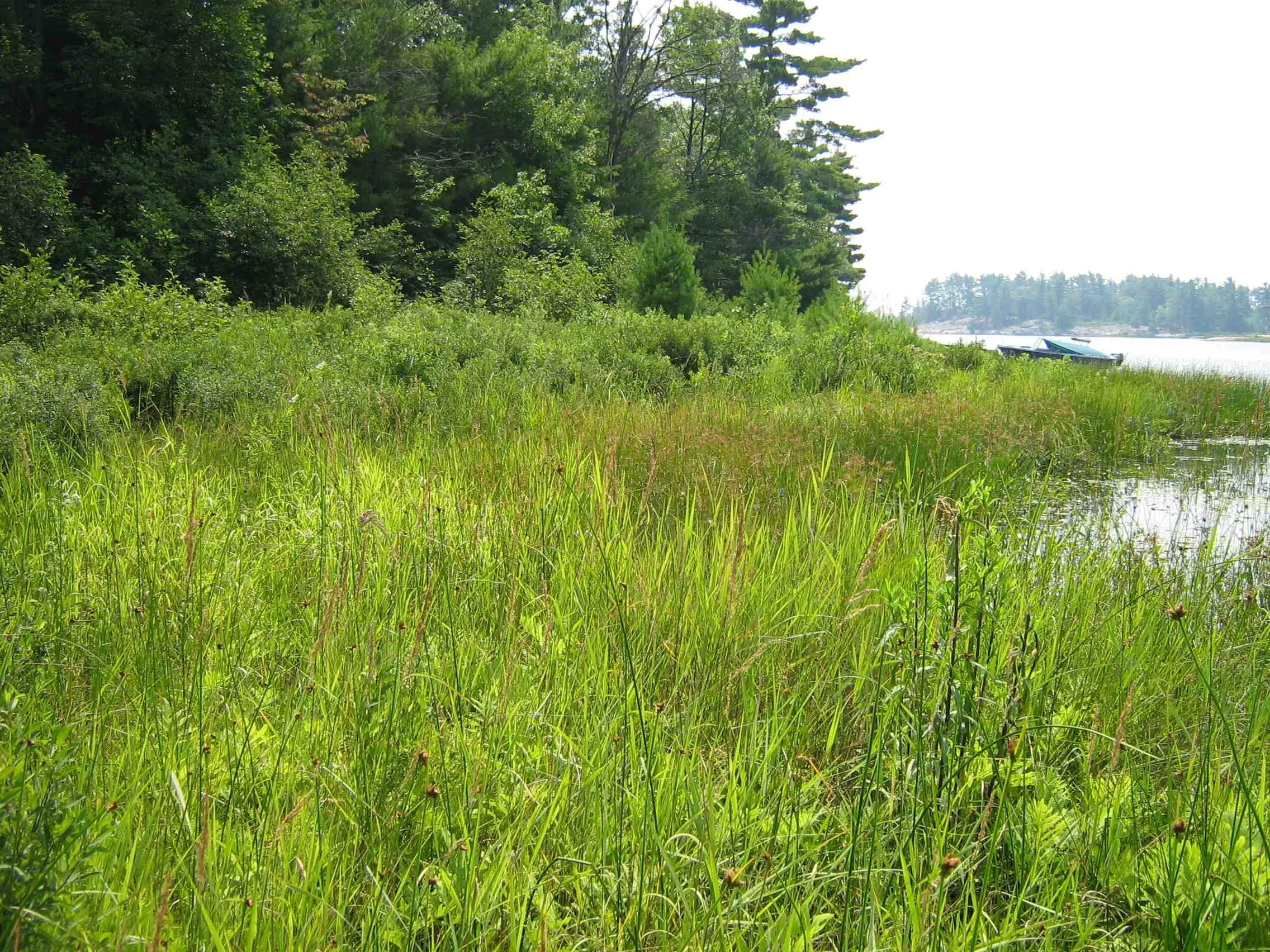 Celebrating 15 years of the Kemerer Conservation Easement — Georgian ...