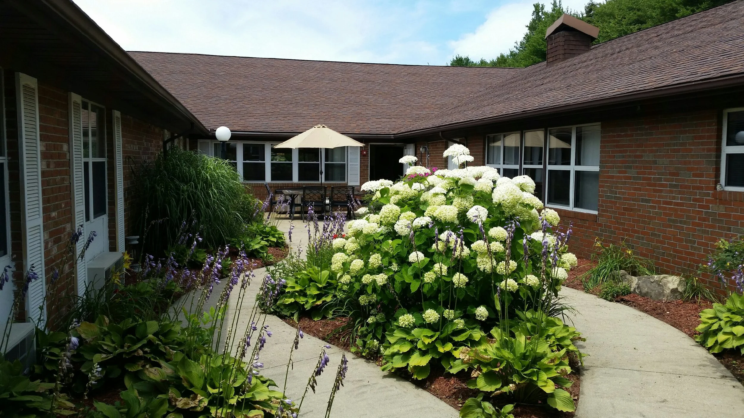 Poplar | Care Strategies — The Strategies