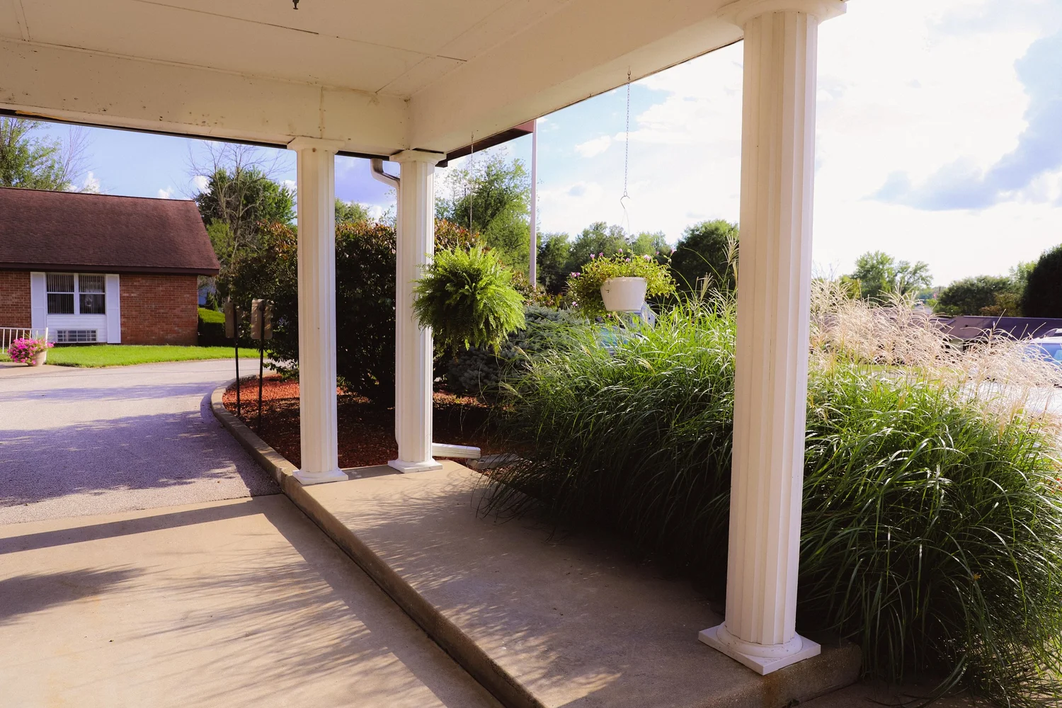 Poplar | Care Strategies — The Strategies