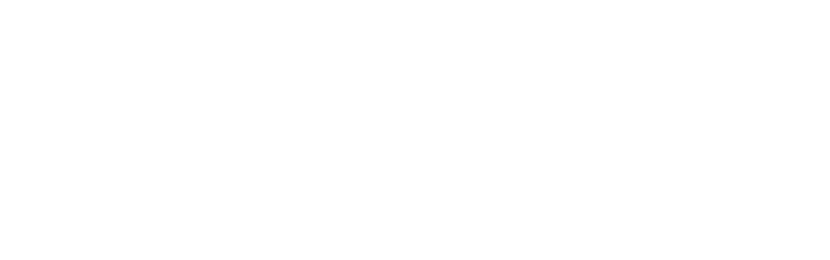 Cardinal | Care Strategies — The Strategies