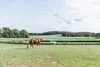 Harwood Farm