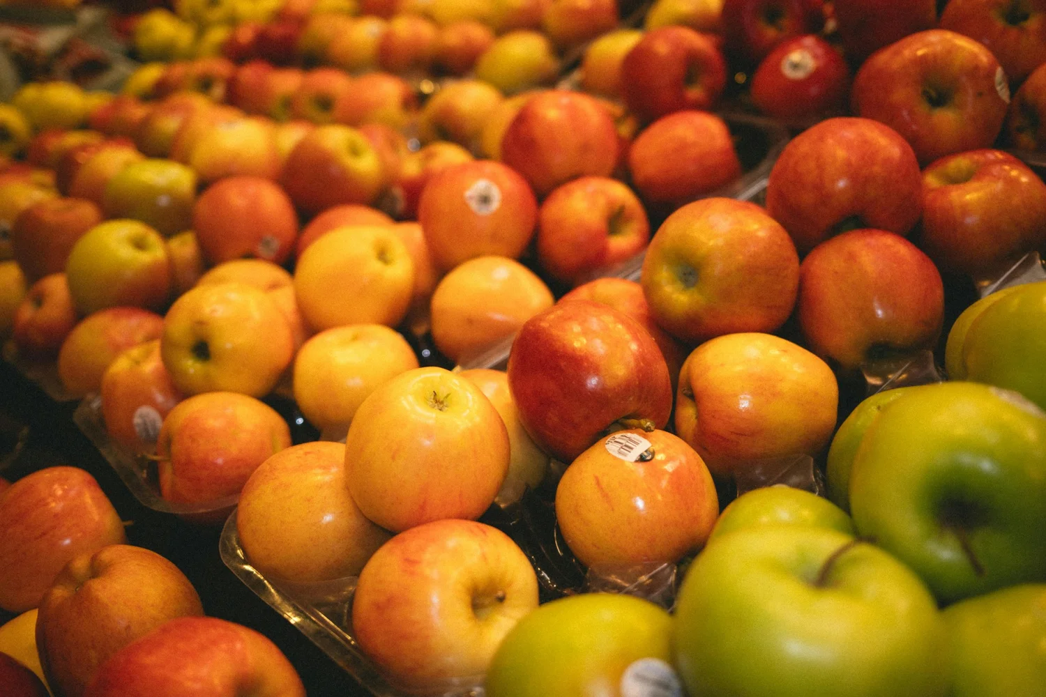 Food Resources in NYC — NIDC
