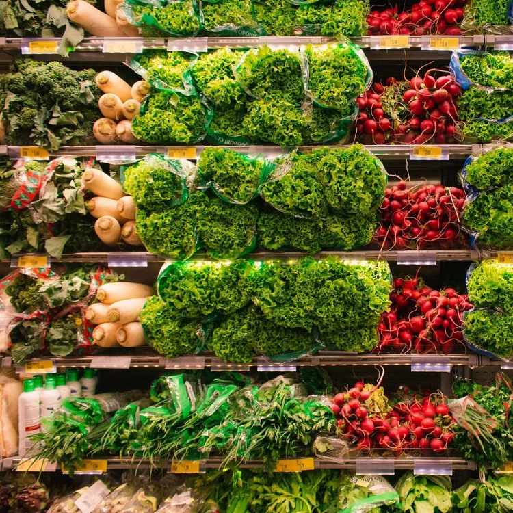 Food Resources in NYC — NIDC
