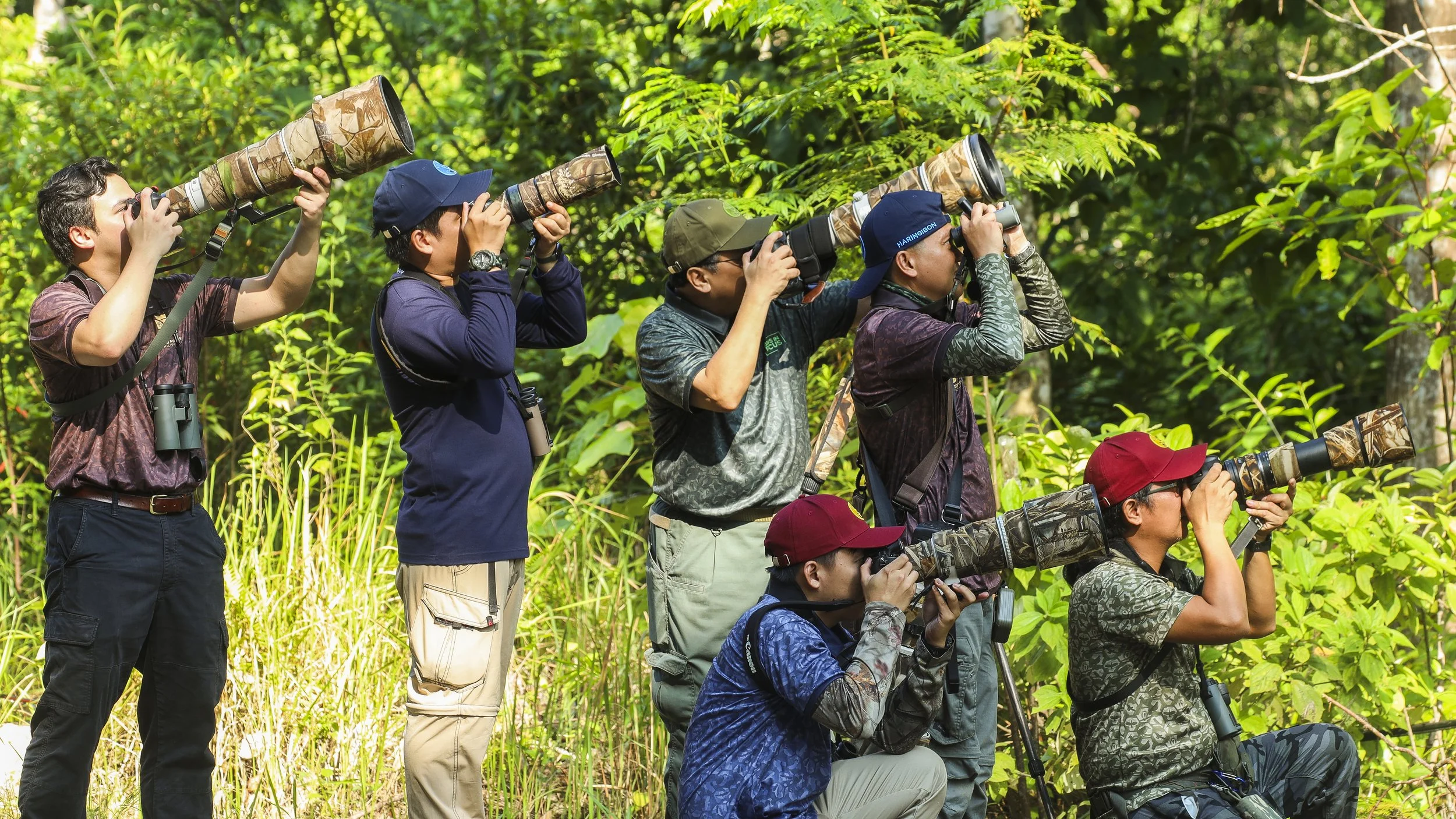 28-day Signature Tour | Discover Philippine Birds Today — Bird Finder ...