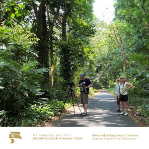 2024 Mt. Makiling Day Trip — Bird Finder Philippines