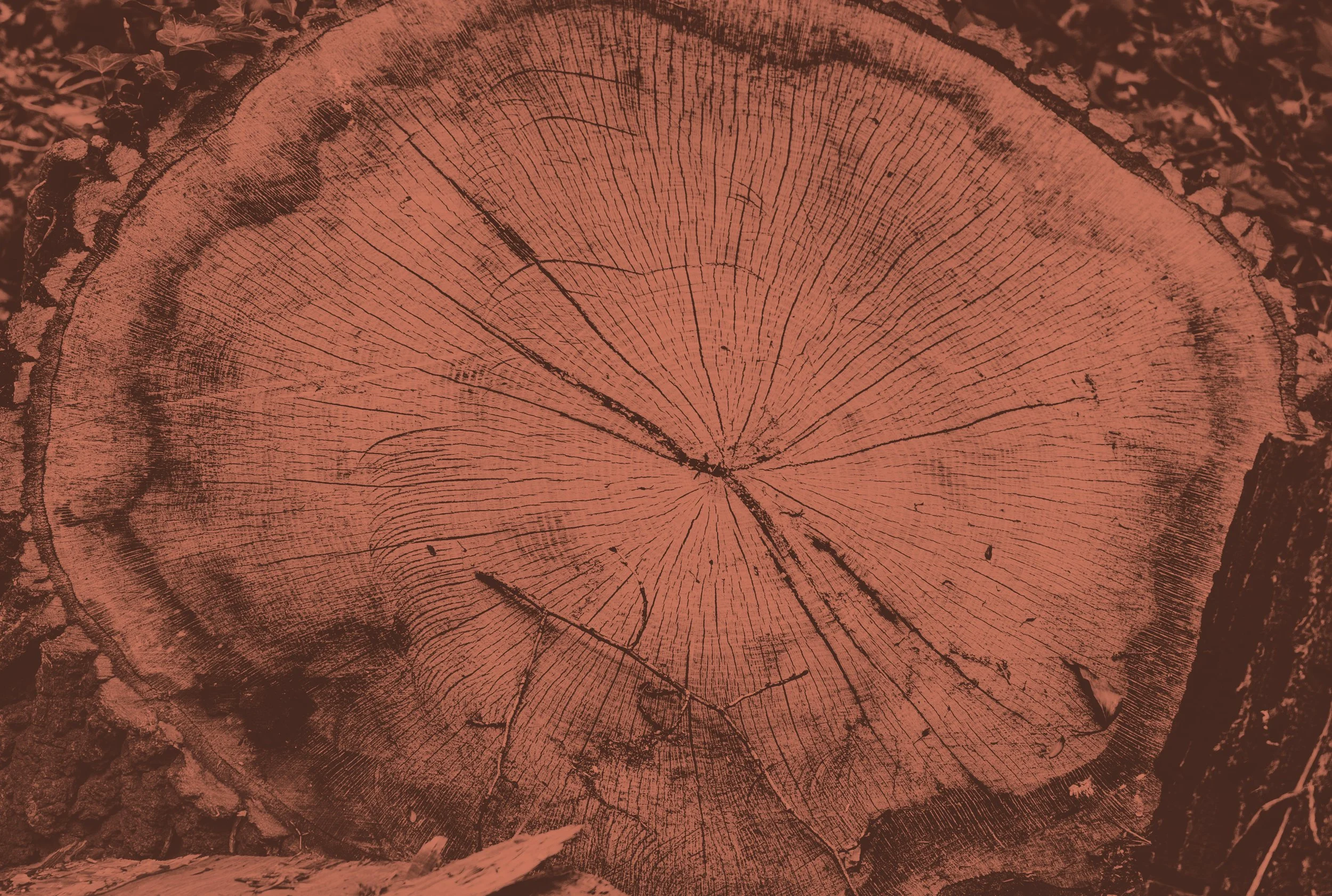 Saunahood | Sauna Nottingham | Contast therapy