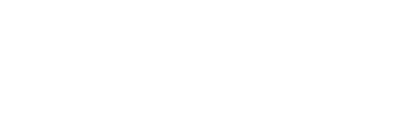 RIPCORD INDUSTRIES LDR1 — MSP Manufacturing