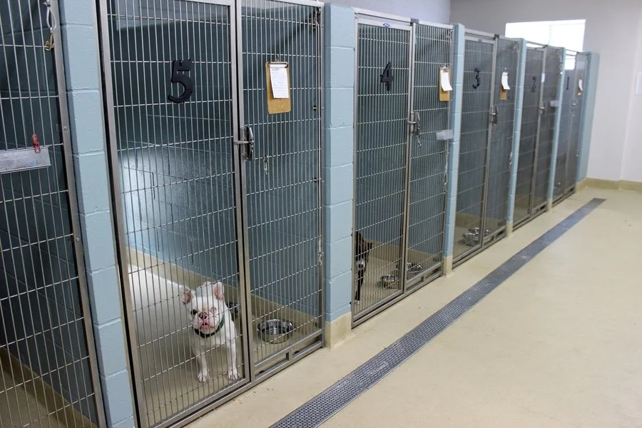 Tour Our Shelter — Mansfield Animal Shelter