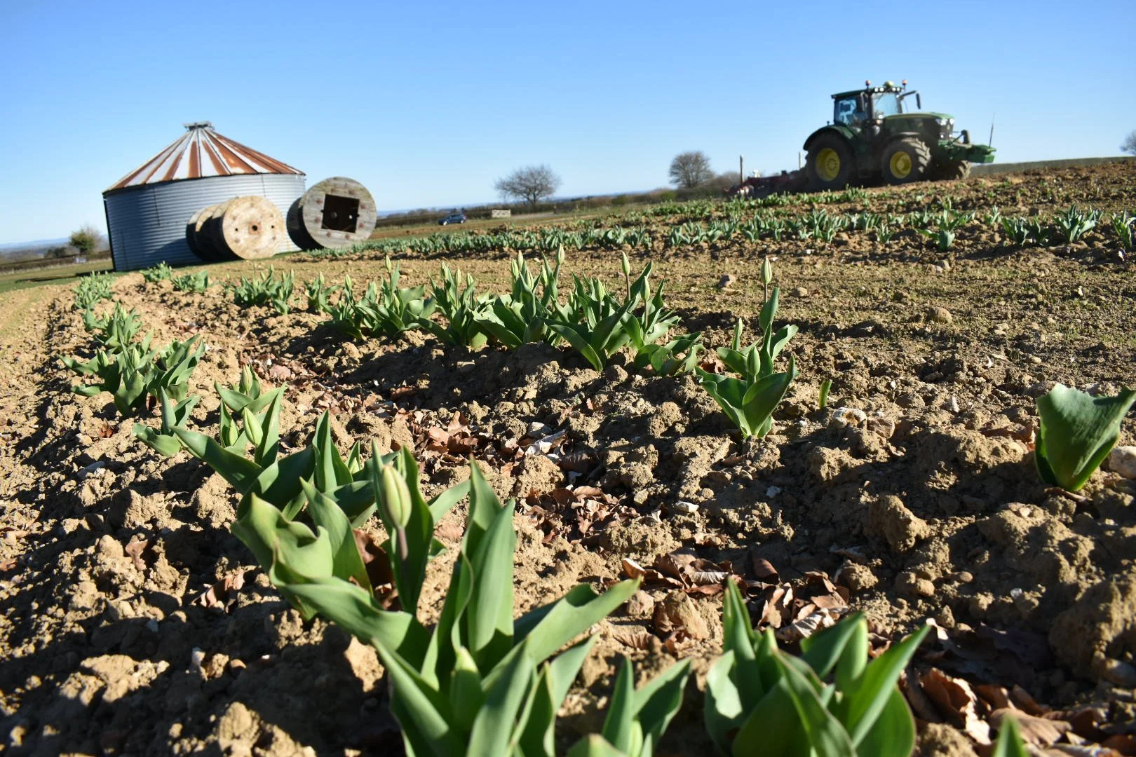 Visit Us — The Flower Belt