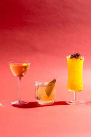 MENUS — Toro Scottsdale