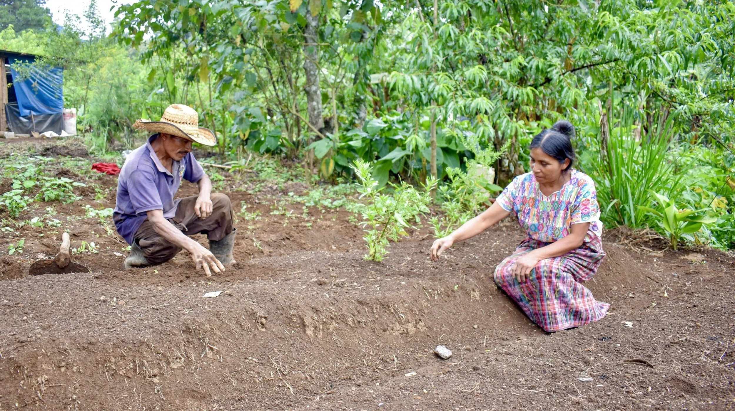 Building Resilient Communities Through Our Theory of Change — Food 4 ...