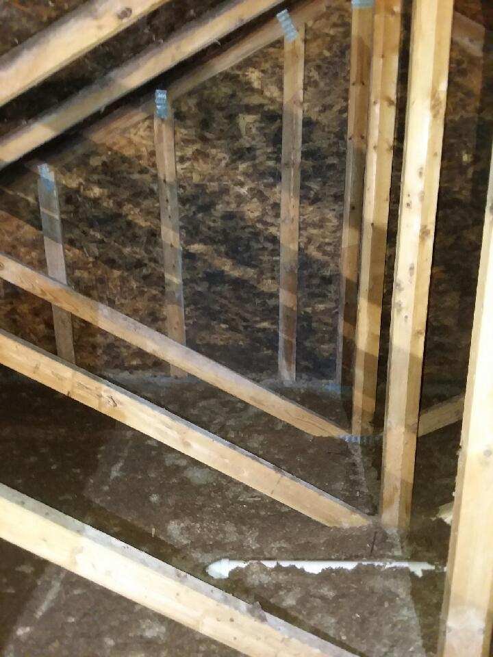 Michigan Mold Services | Ensure Safe Spaces