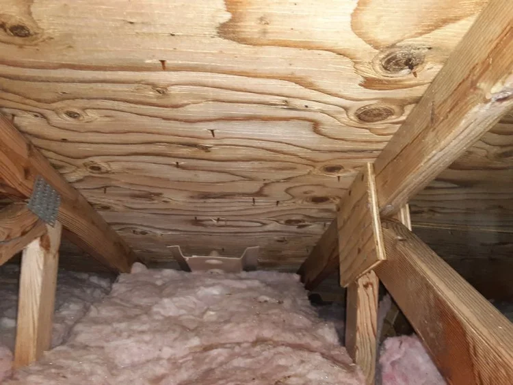 Michigan Mold Services | Ensure Safe Spaces