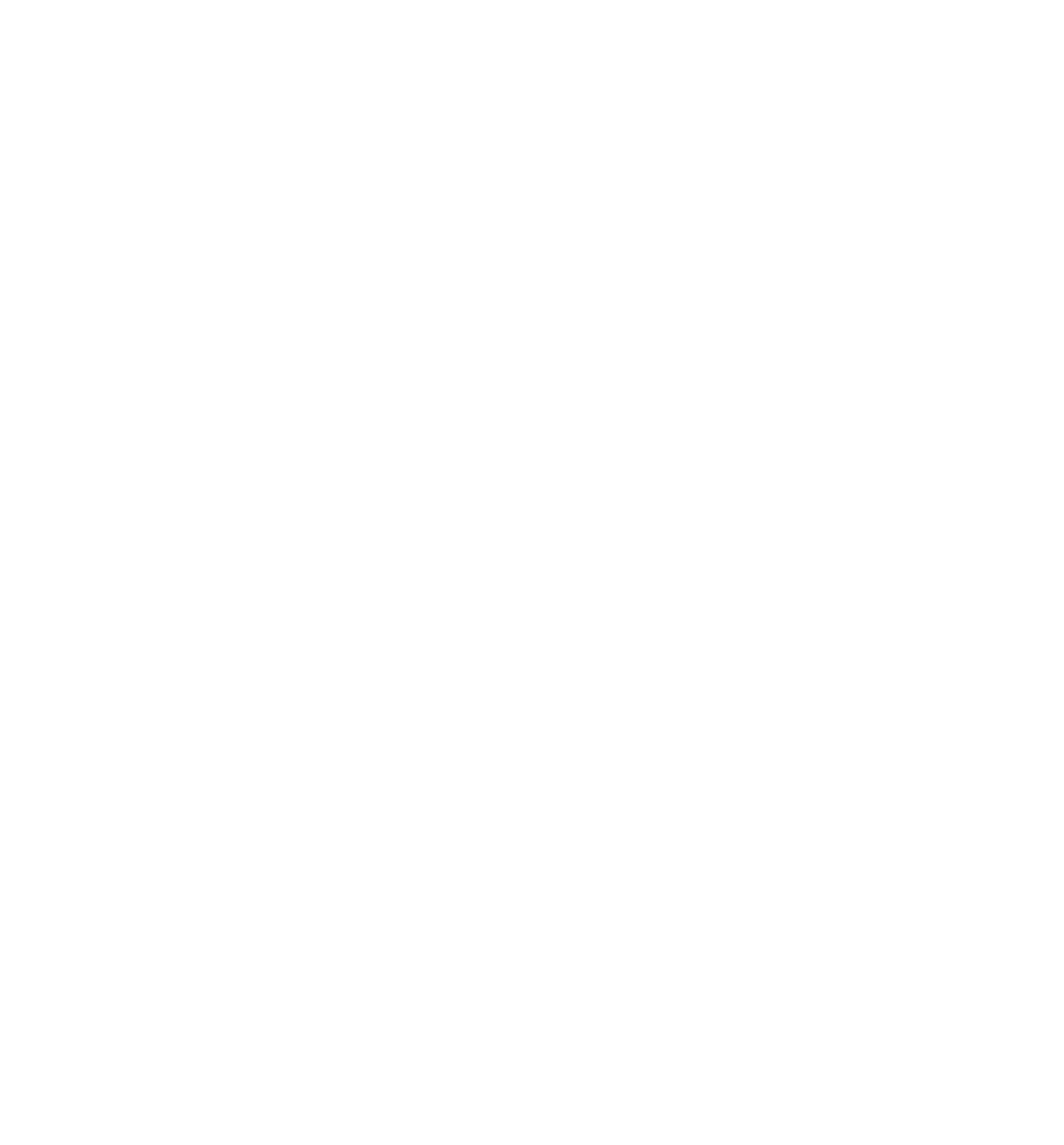 Leo Software Group - Unlocking Value in Enterprise Software