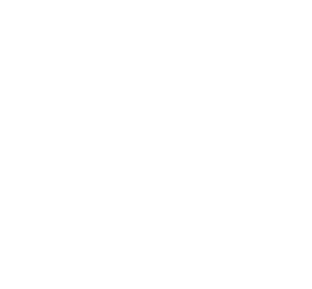 Leo Software Group - Unlocking Value in Enterprise Software