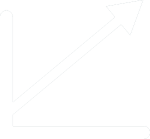 Leo Software Group - Unlocking Value in Enterprise Software