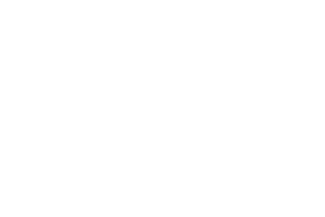 Leo Software Group - Unlocking Value in Enterprise Software