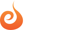 General 4 — EMBERS