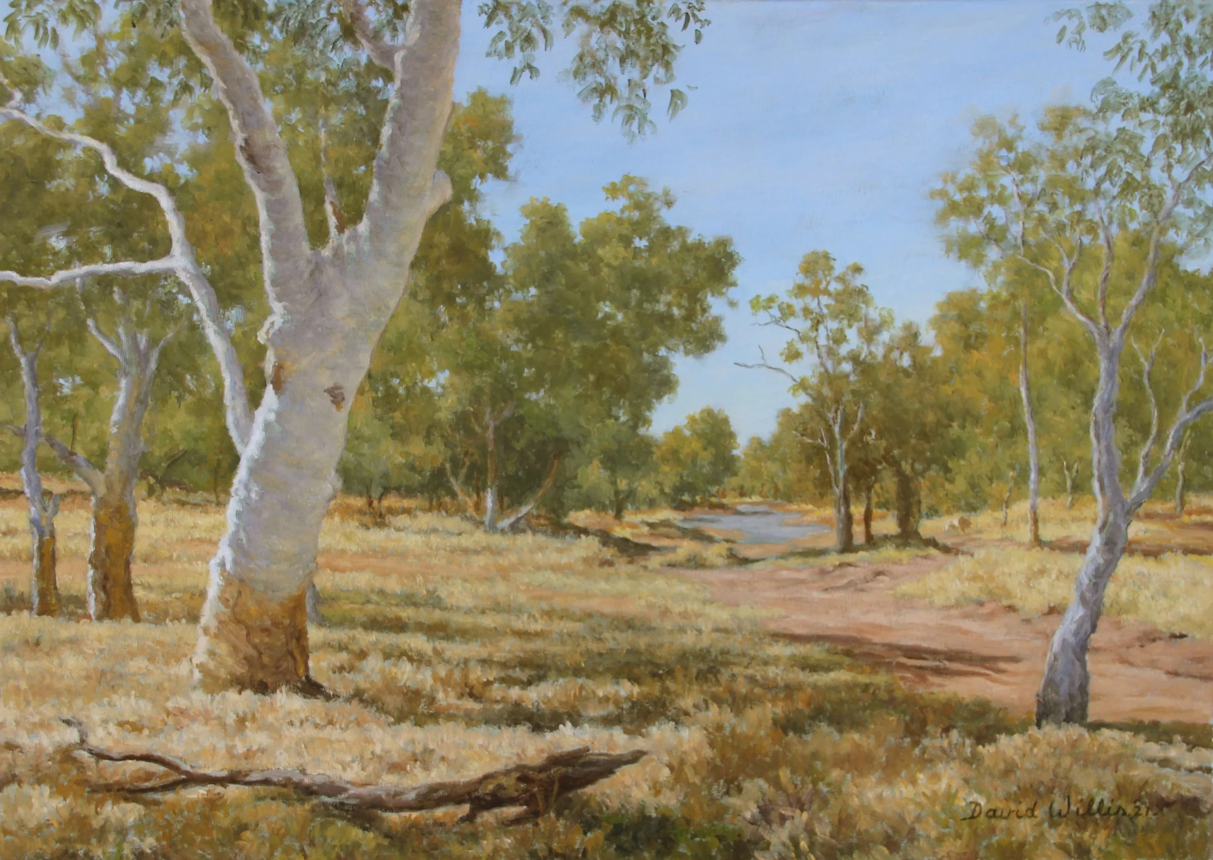 Redbill Studio Gallery