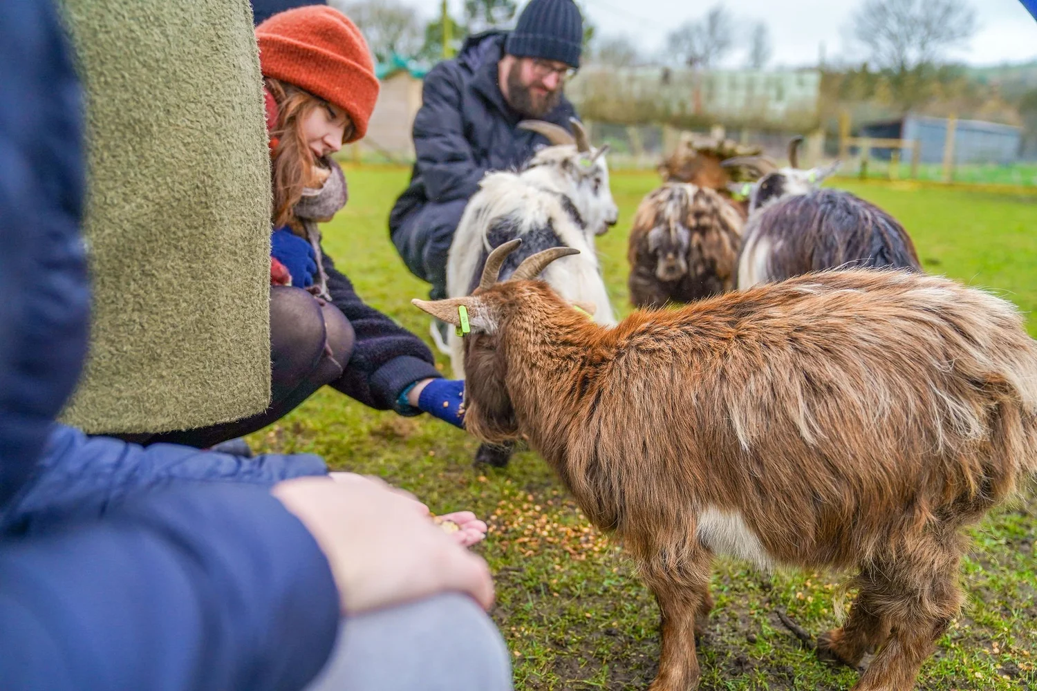 Farm Experiences — Windmill Retreats