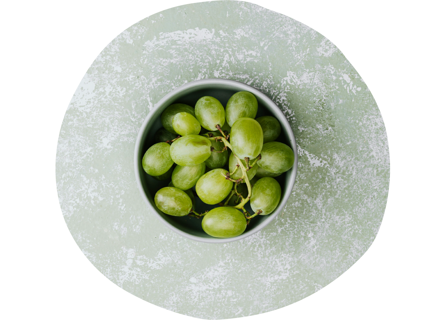 Elouera Early Learning