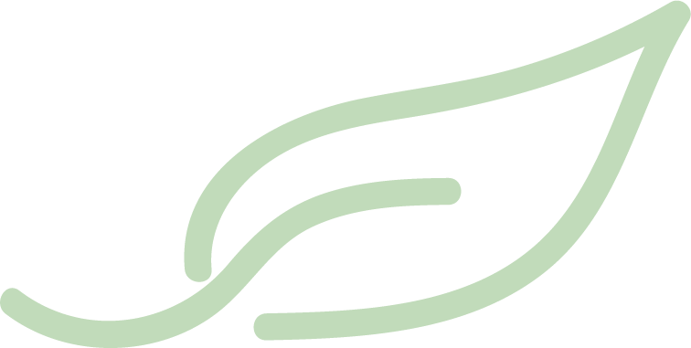 Elouera Early Learning