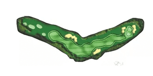 Course Description — Point Roberts Golf & Country Club