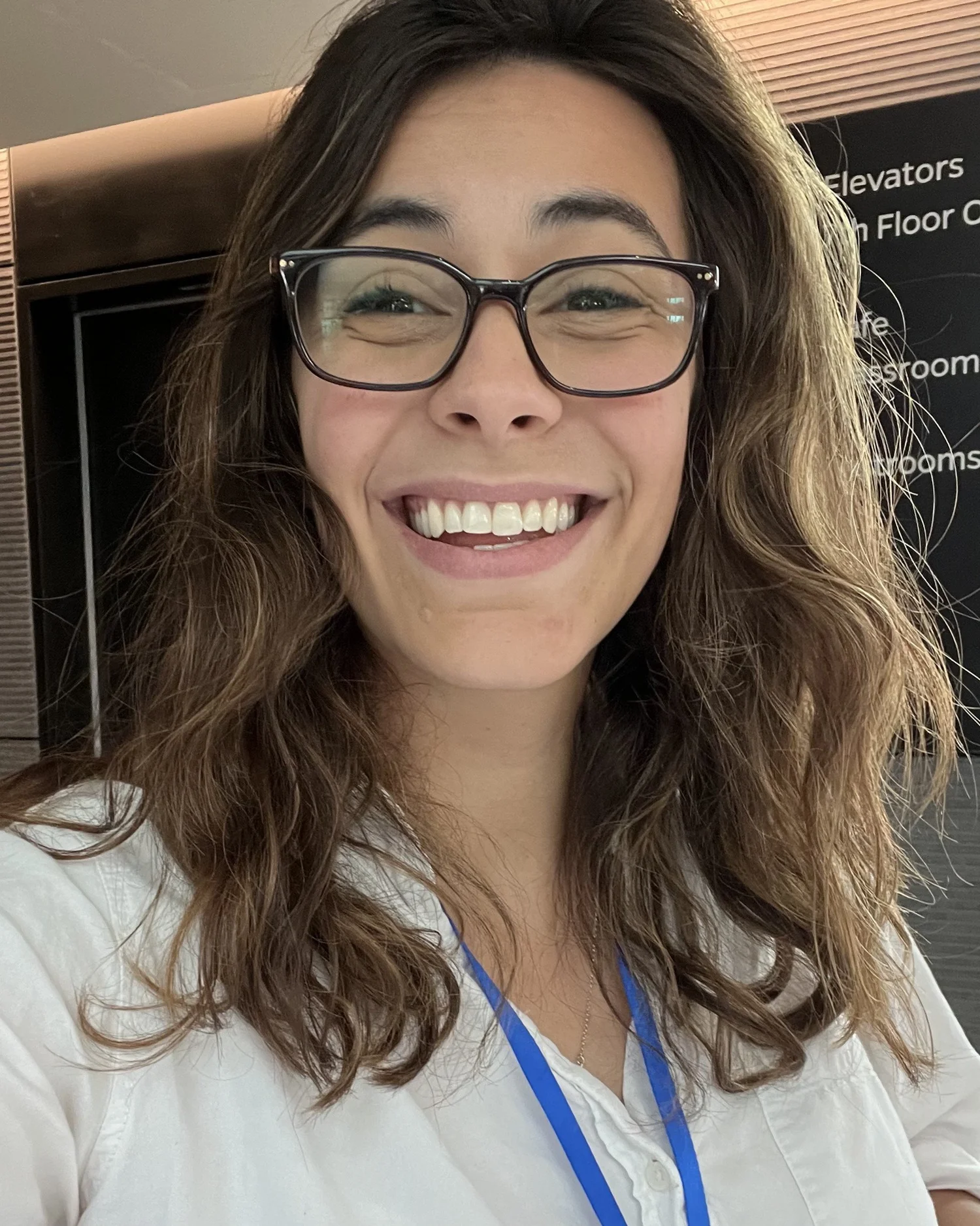 Our Team — Lawyers Without Borders