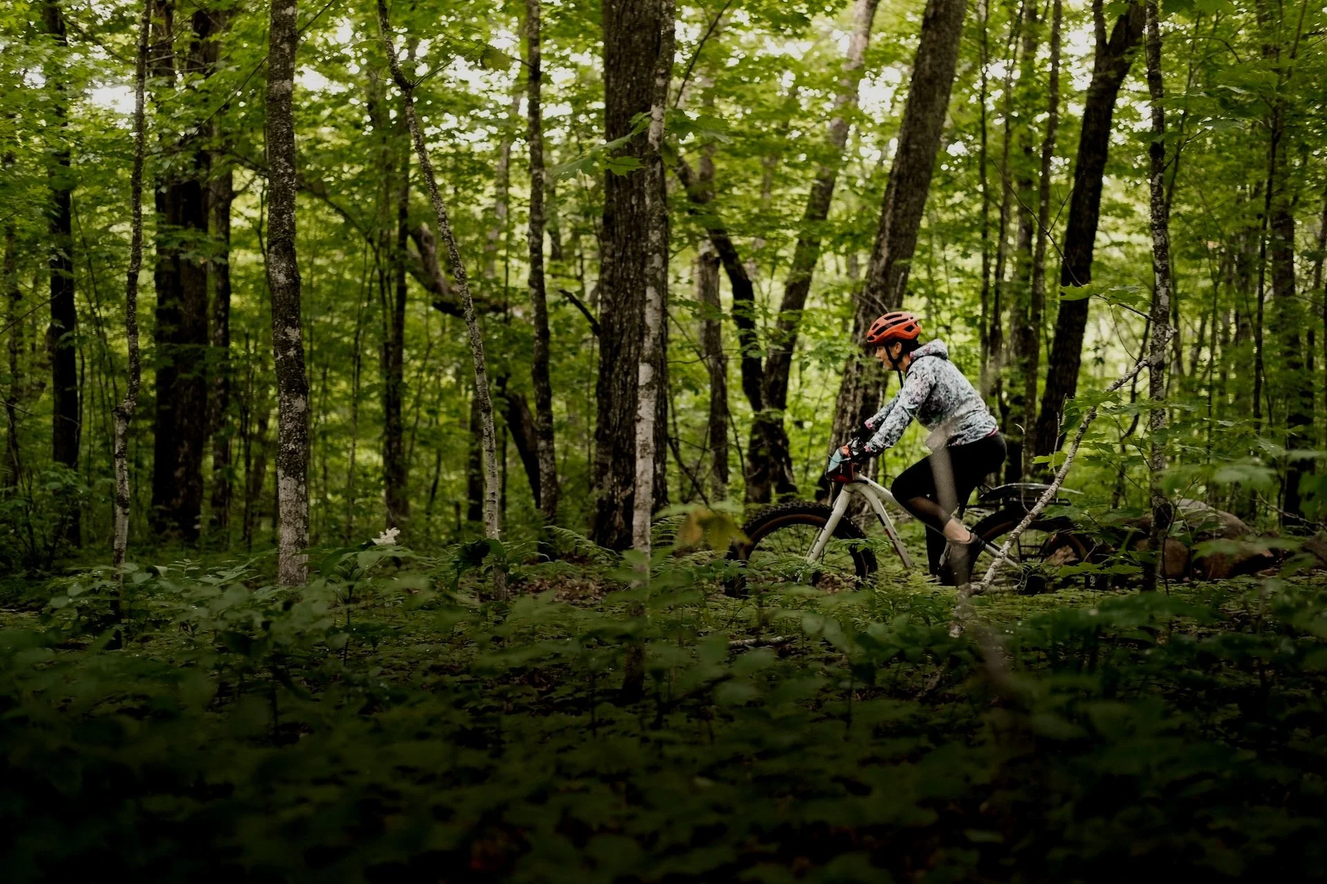 Local Adventures — Tofte Trails