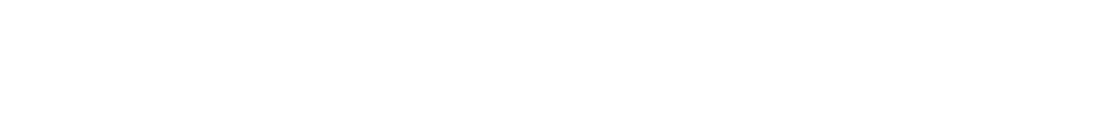 Steadfast Consulting Partners