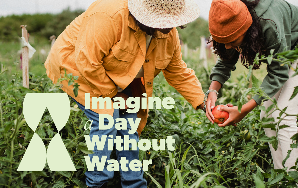The Value of Water Campaign