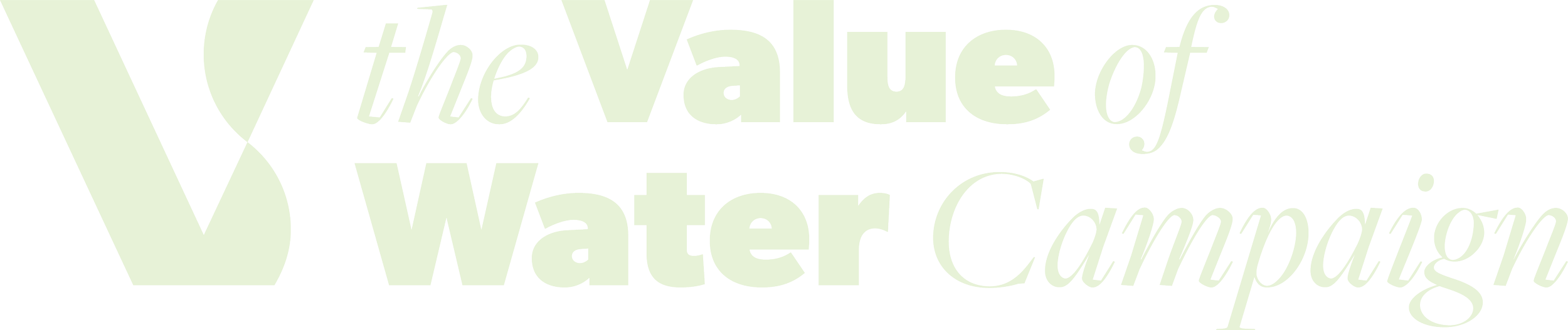 Economic Impact — The Value of Water Campaign