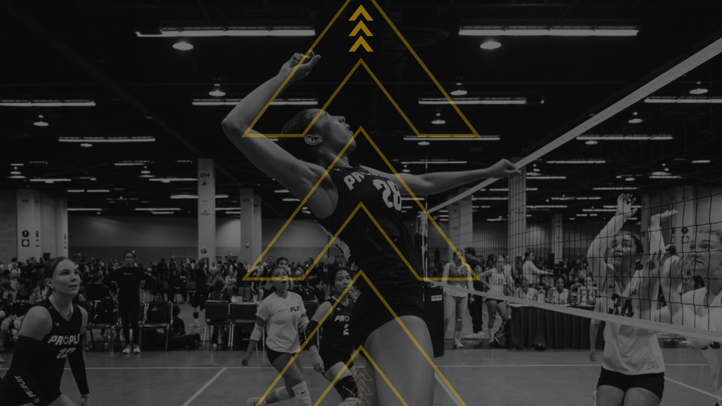 The Winning Element App | Volleyball Mental Performance