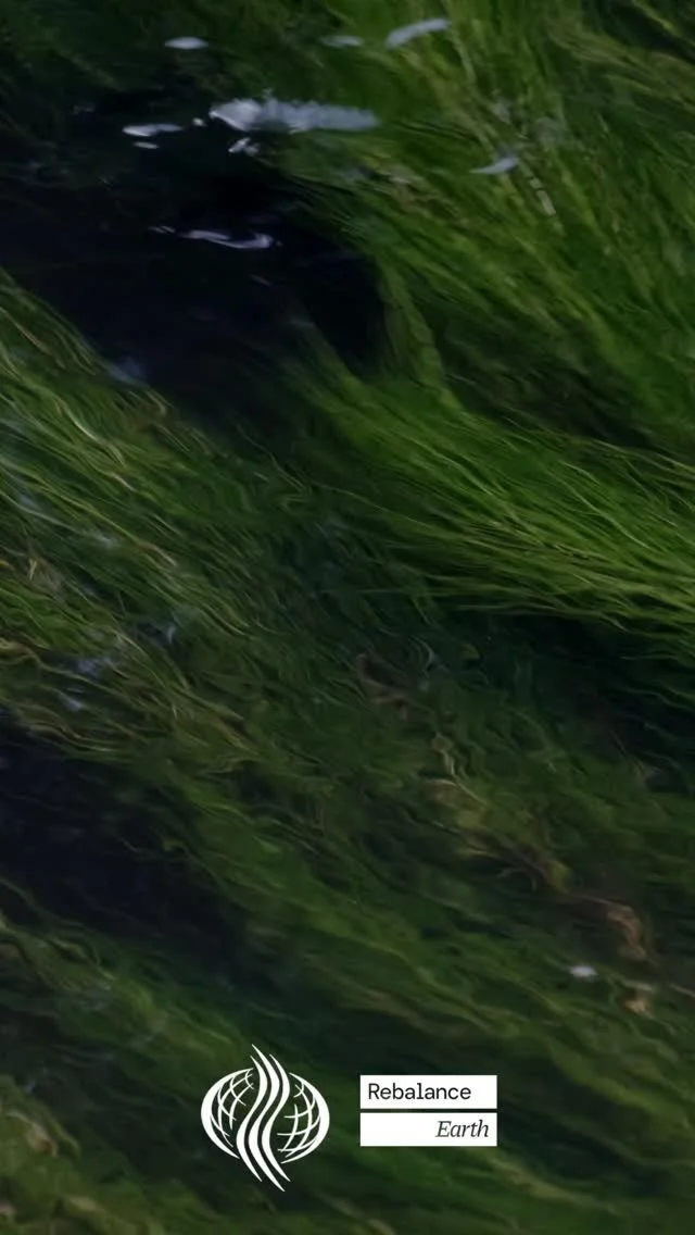 Rebalance Earth
