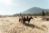 Bader Ranch Trail Co. | Horseback Riding Near Lake Tahoe & Gardnerville
