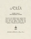 Soléa Parfums – Sustainable Perfume Branding & Conscious Packaging ...
