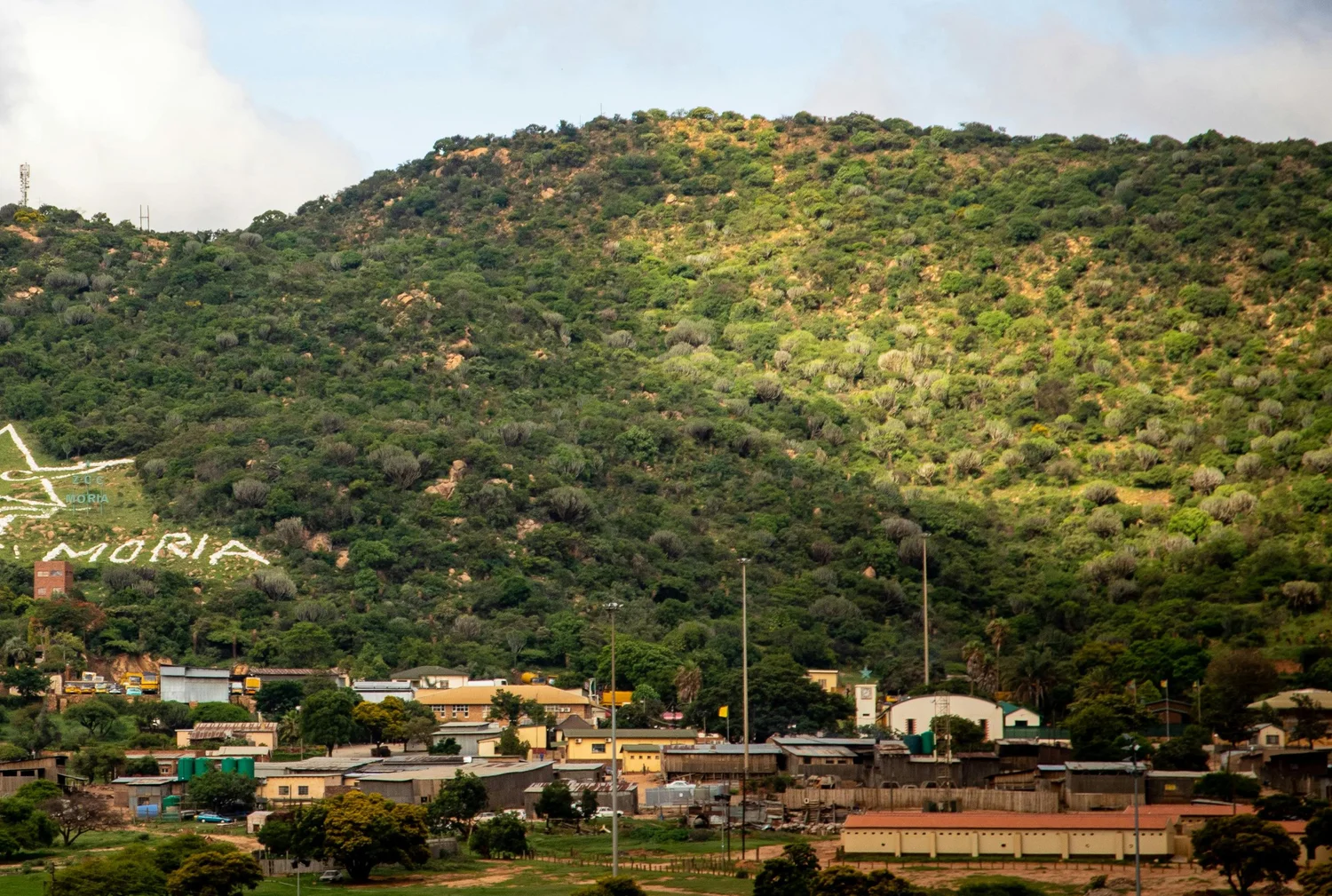 NUCA | Scaling Up Urban Climate Transition