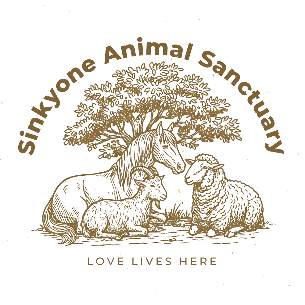 Sinkyone Animal Sanctuary | Support & Rescue Today