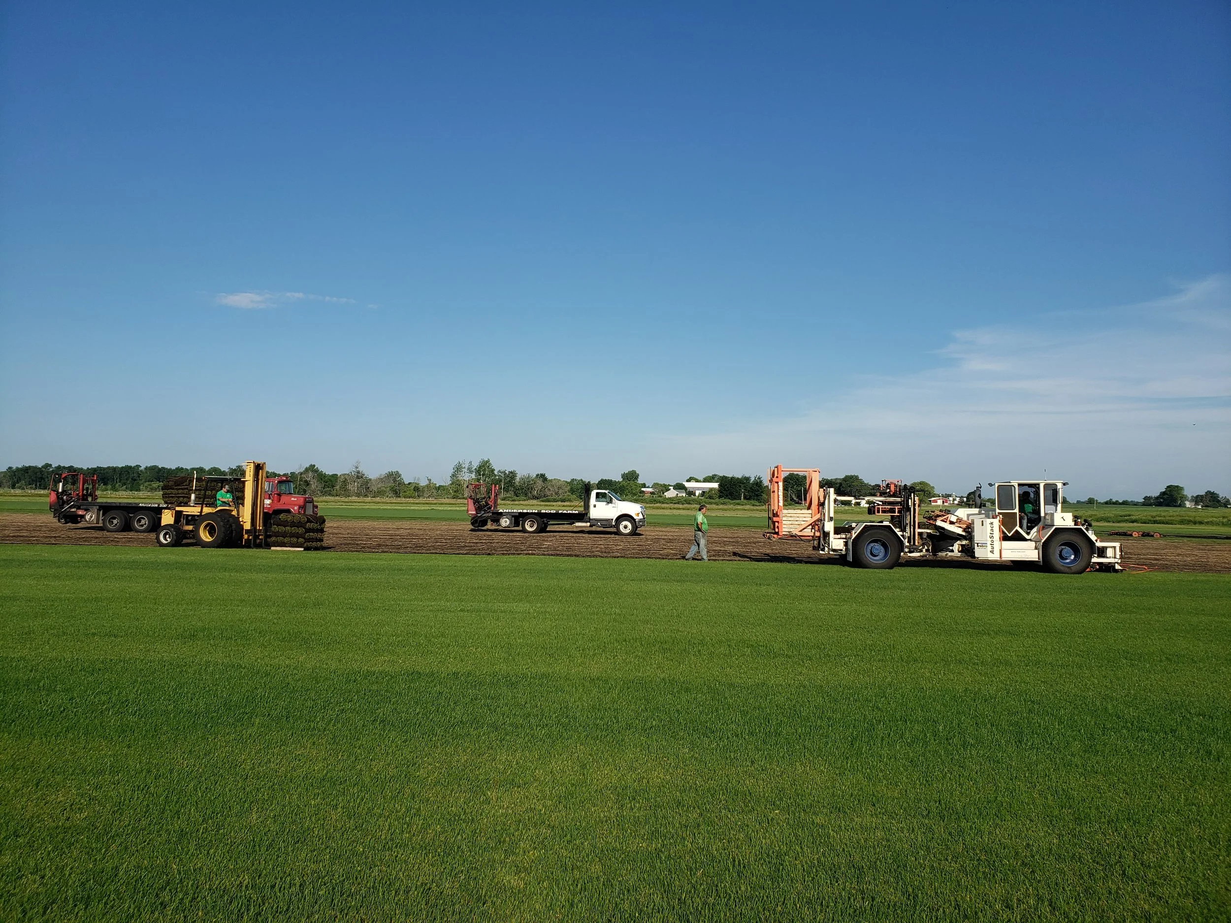 Welcome to Anderson Sod Farm