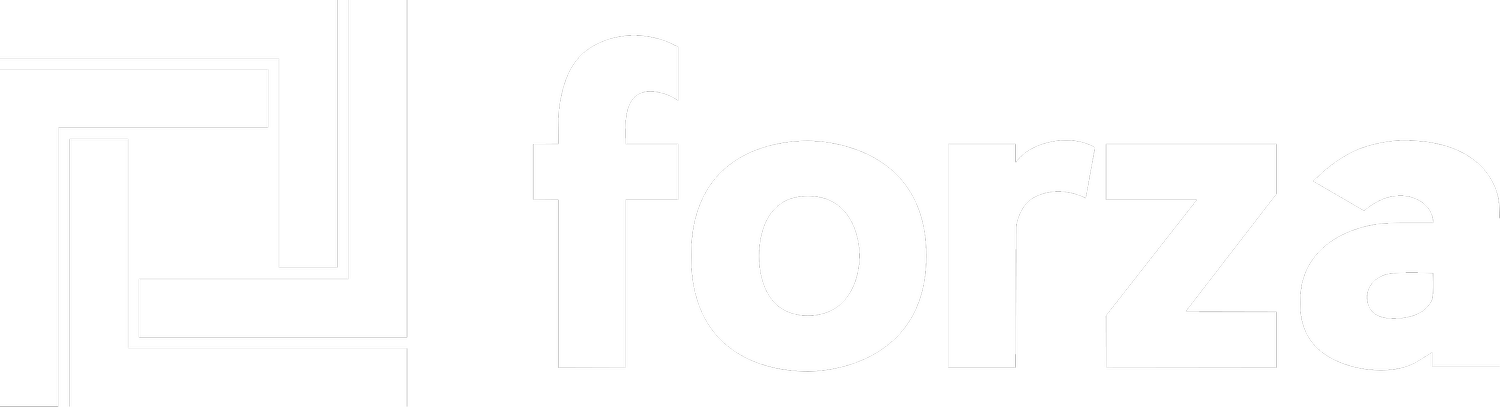 Novel Financial Holdings