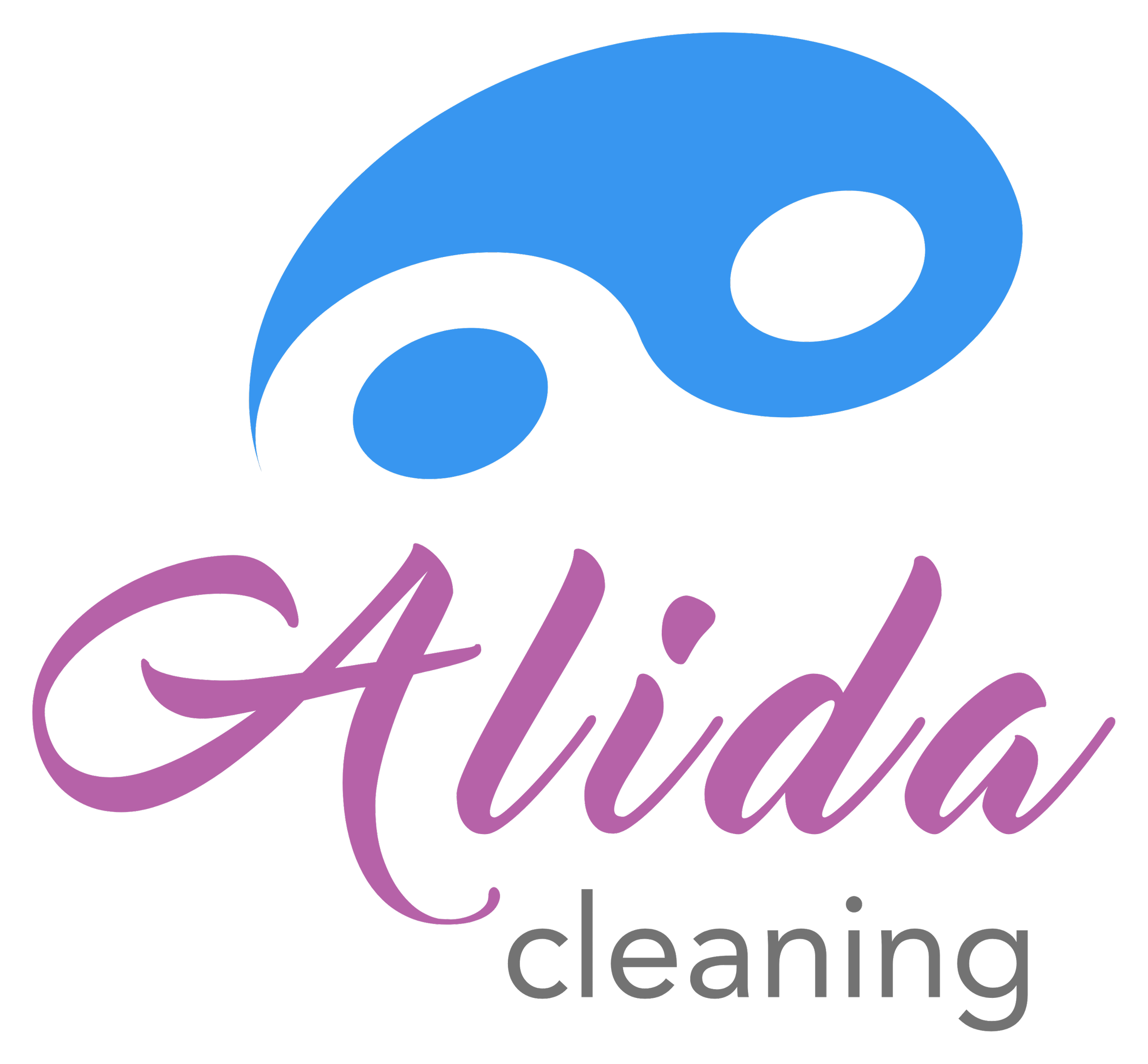 General Cleaning Service — Alida Cleaning